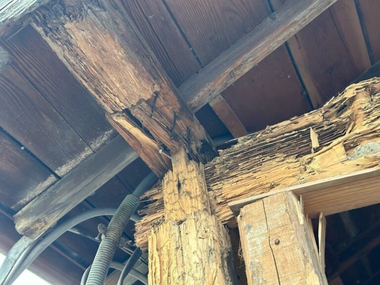 lefu Design レフデザイン | ご家族に寄りそう家づくり