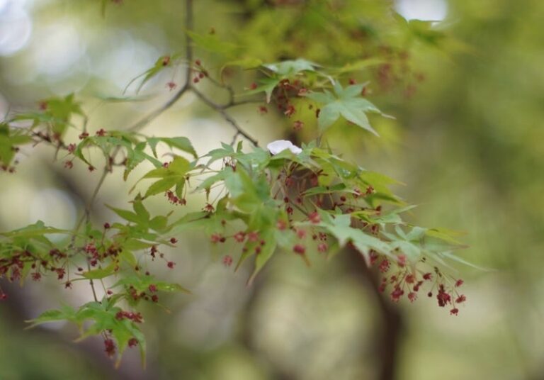 lefu Design レフデザイン | ご家族に寄りそう家づくり